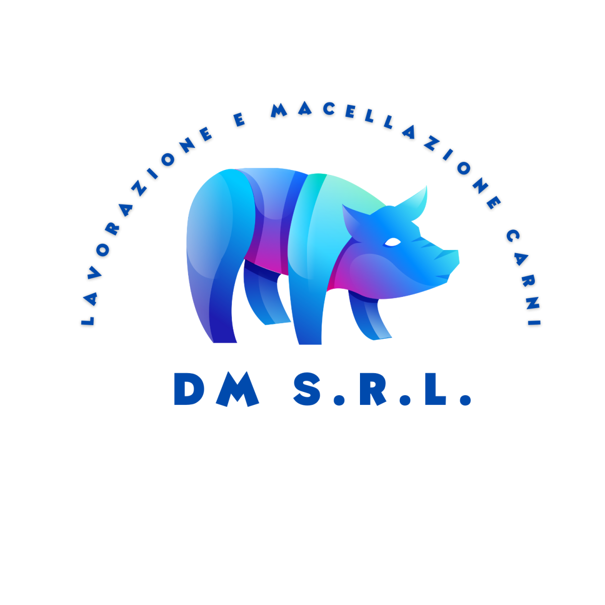 Home [www.dmsrl.srl]